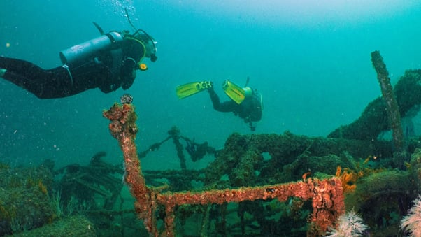 Explore the Best Dive Sites in Fujairah with Al Boom Diving - Al Boom ...