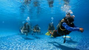 All Scuba Diving Courses - Al Boom Diving