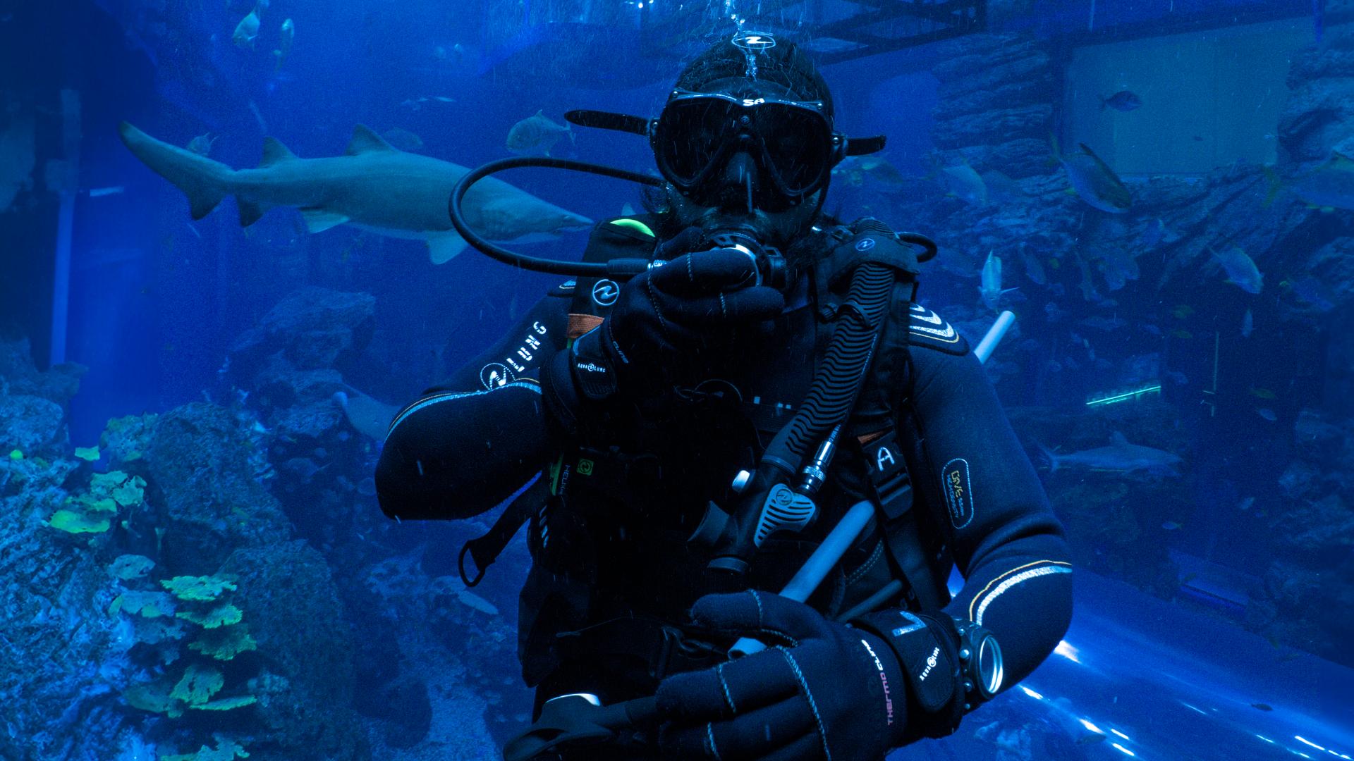 PADI Dubai Aquarium Scuba Diver Course - Al Boom Diving