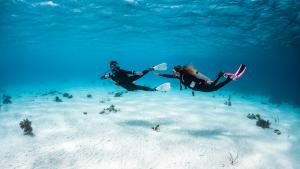 All Scuba Diving Courses - Al Boom Diving