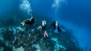 All Scuba Diving Courses - Al Boom Diving