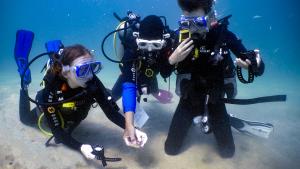 All Scuba Diving Courses - Al Boom Diving